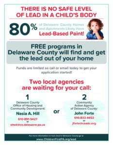 Toolkit - Lead Flyer - Children First (Formerly Public Citizens For ...